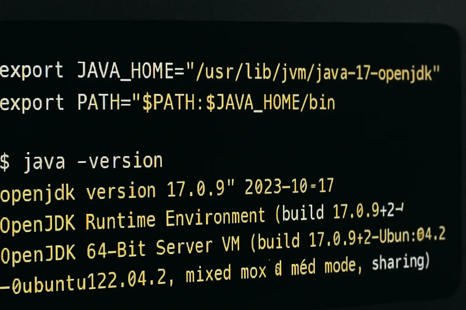 Install JDK on macOS: Step-by-Step Guide for Java Developers
